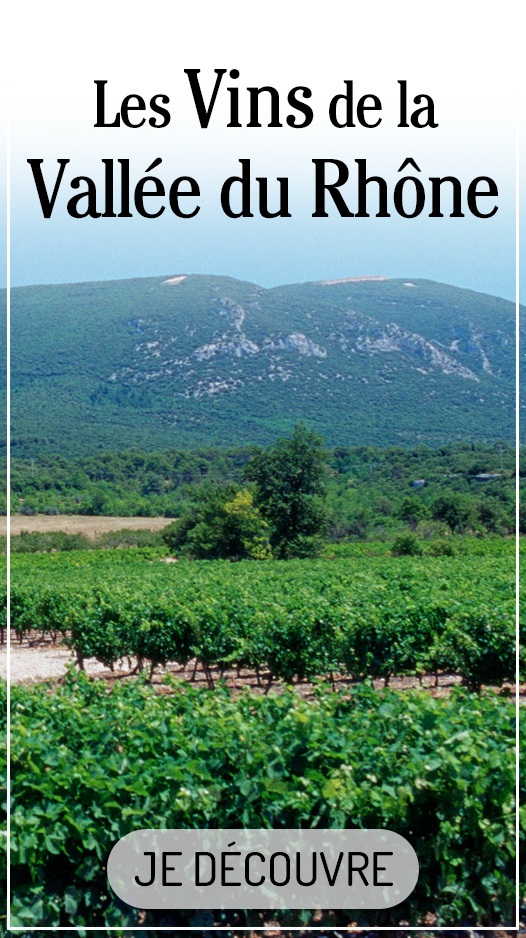 Vente de Vin en Ligne, Rouge, Blanc, Rosé, Grand Cru, AOC - Viniphile
